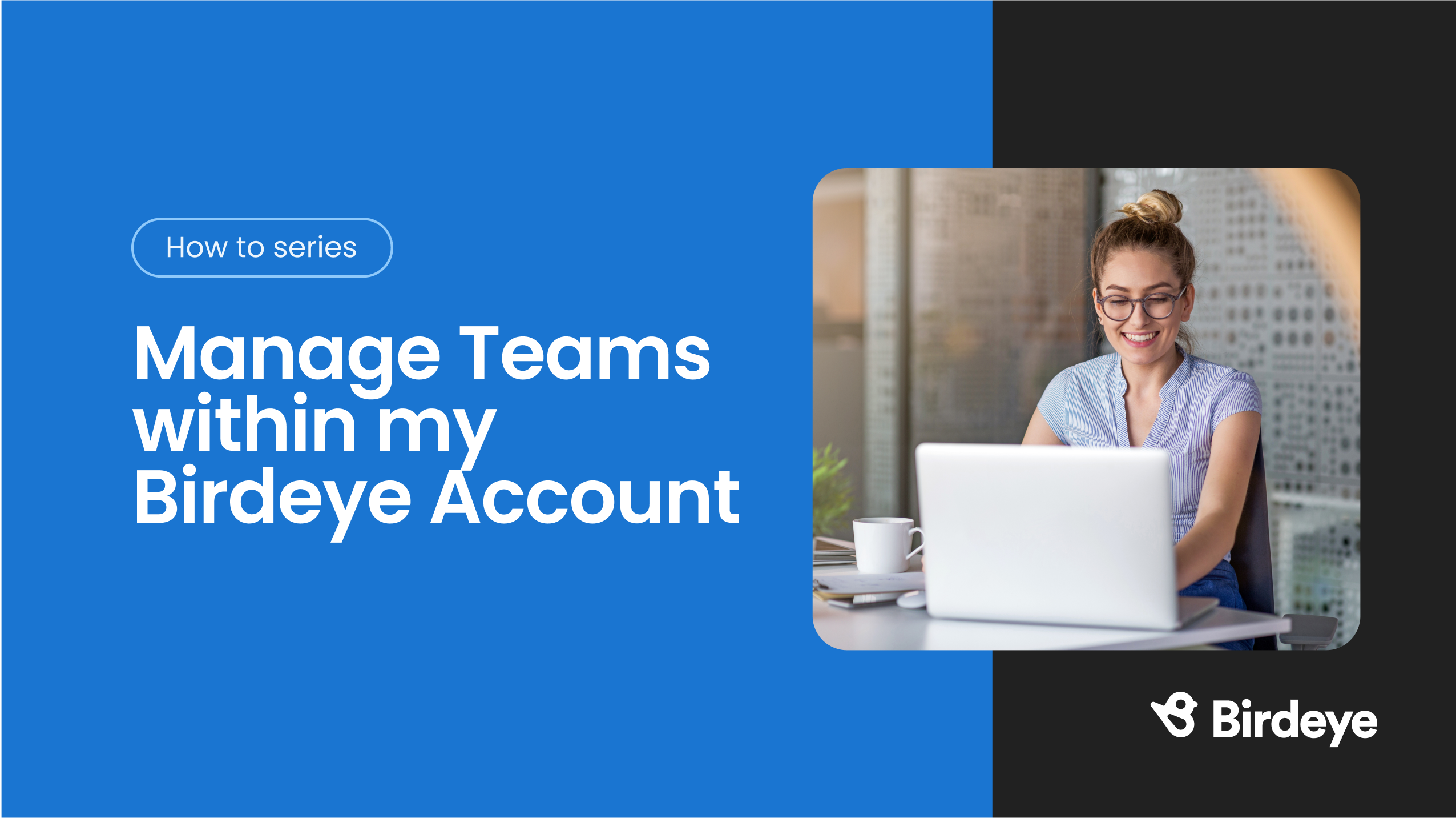 Manage Teams Within My Birdeye Account | Birdeye