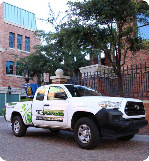 TruForce Pest Control | Birdeye